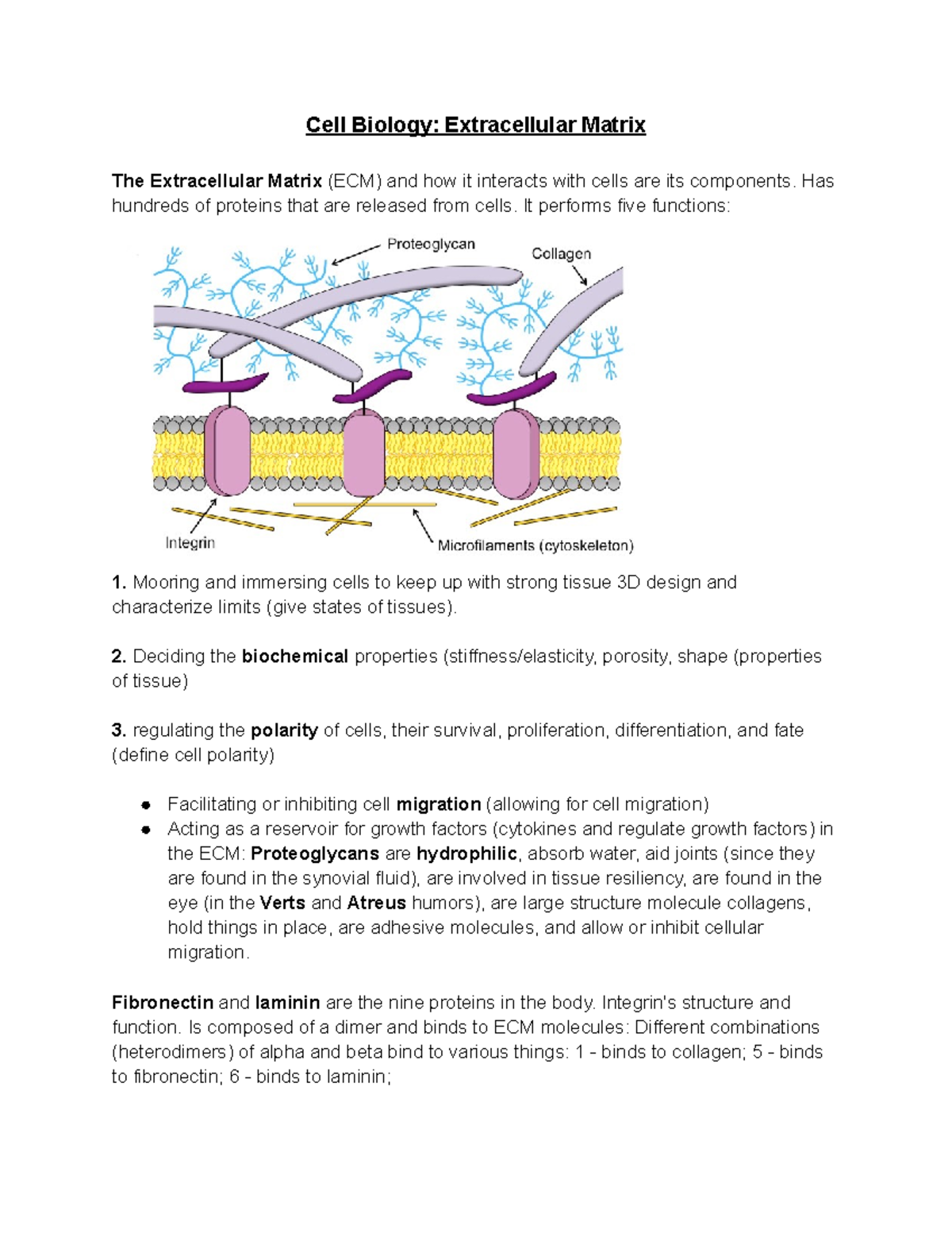 Cell Biology Extracellular Matrix - Has hundreds of proteins that are released from cells. It ...