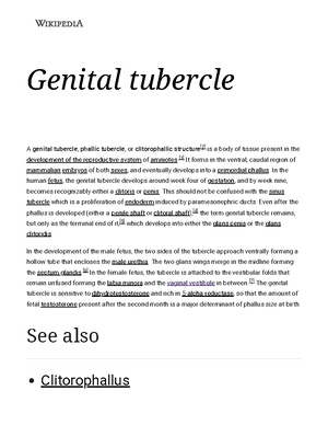 Schiller–Duval body - Wikipedia - Schiller–Duval body Schiller–Duval ...