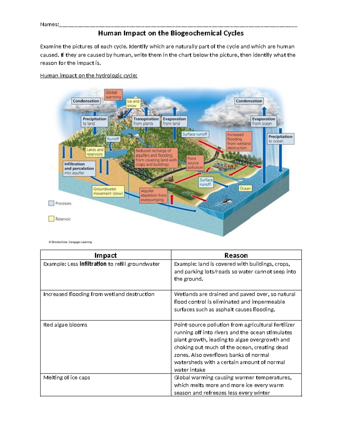 1 Human Impact on the Biogeochemical Cycles - - Studocu