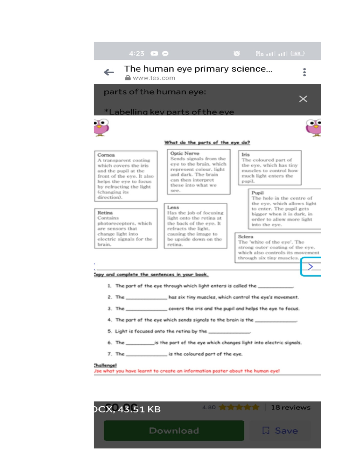 Cassey - Lecture - 4:23 68 The human eye primary science parts of the ...