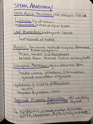 8. Flowers online - Lecture - Wow, we have reached the topic of ...