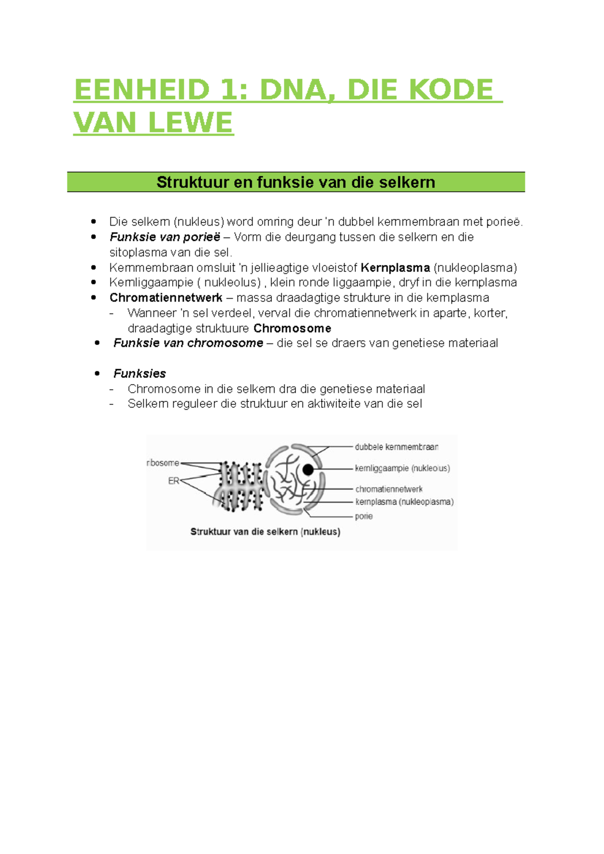 Eenheid 1 ( DNA KODE VAN LEWE) - EENHEID 1: DNA, DIE KODE VAN LEWE ...