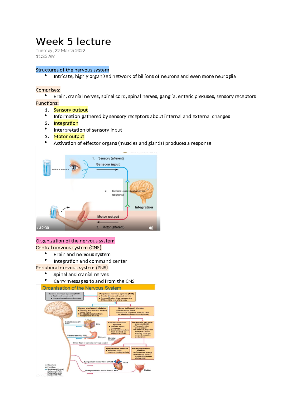 Week 5 lecture - Week 5 lecture Tuesday, 22 March 2022 11:25 AM Structures of the nervous system ...