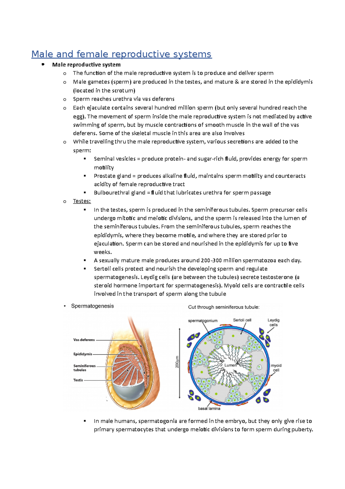 Human reproduction & development - Male and female reproductive systems ...