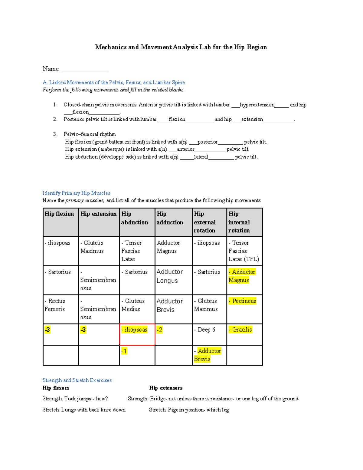 Mechanics and Movement Analysis Lab for the Hip Region - Linked ...