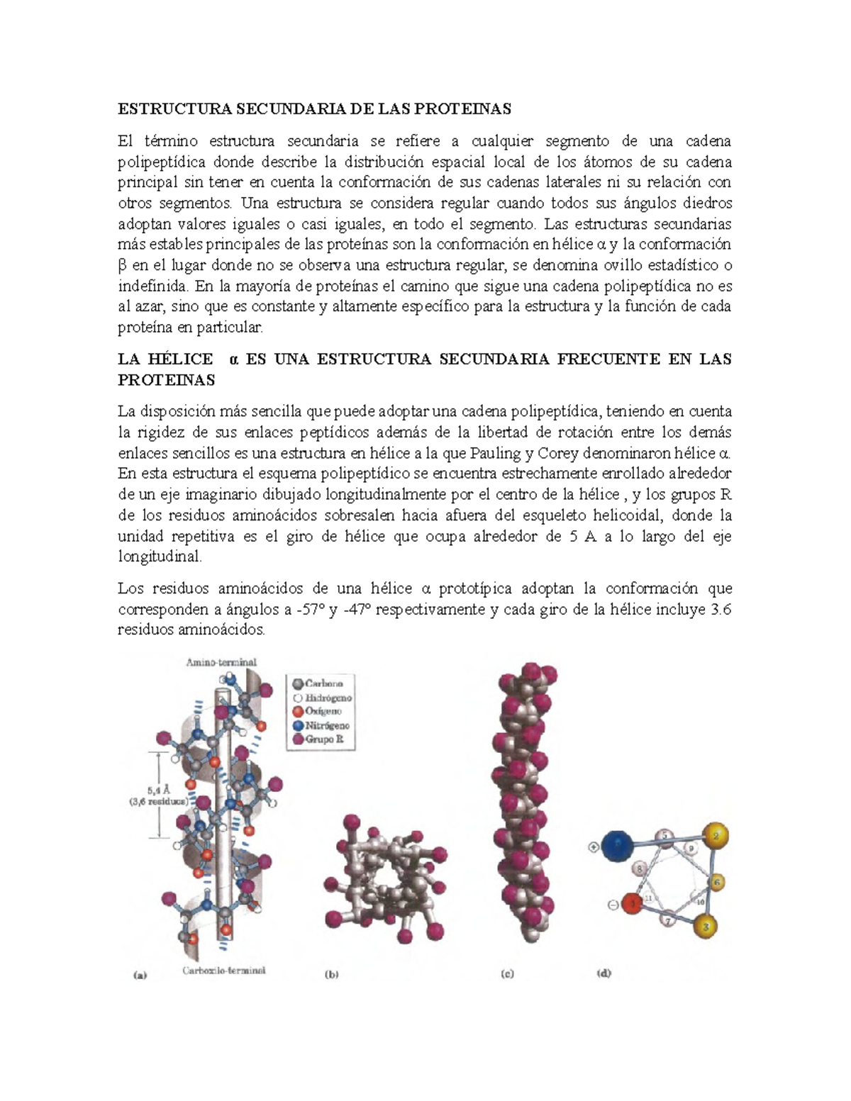 Estructura Secundaria DE LAS Proteinas - ESTRUCTURA SECUNDARIA DE LAS ...