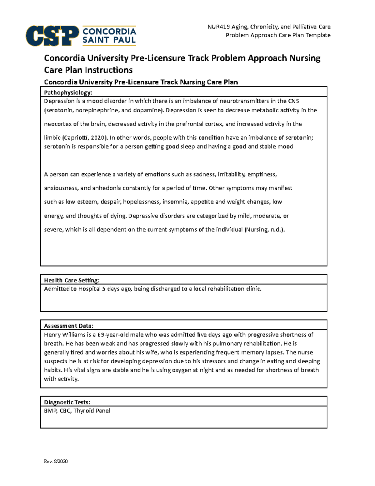 419 Careplan 2 - clinical prework - Problem Approach Care Plan Template ...