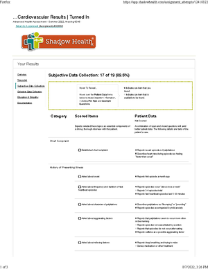 Comprehensive Assessment Documentation - .. Assessment Results | Turned ...