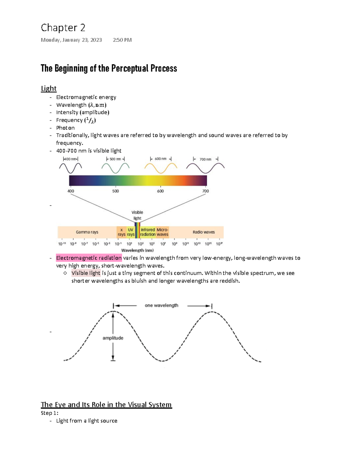 The Beginning of the Perceptual Process - The Beginning of the ...