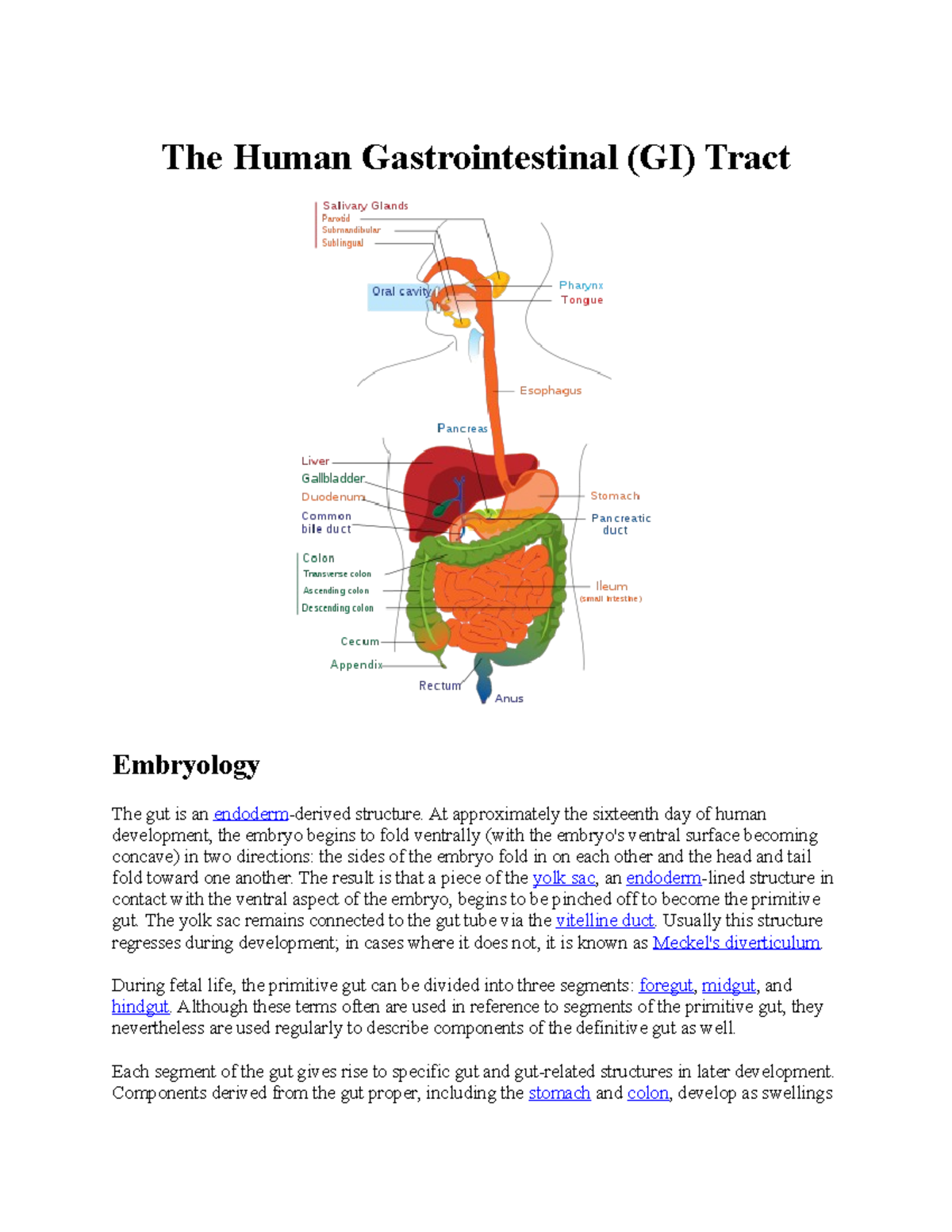 The Human Gastrointestinal tract anatomy and physiology study guide ...