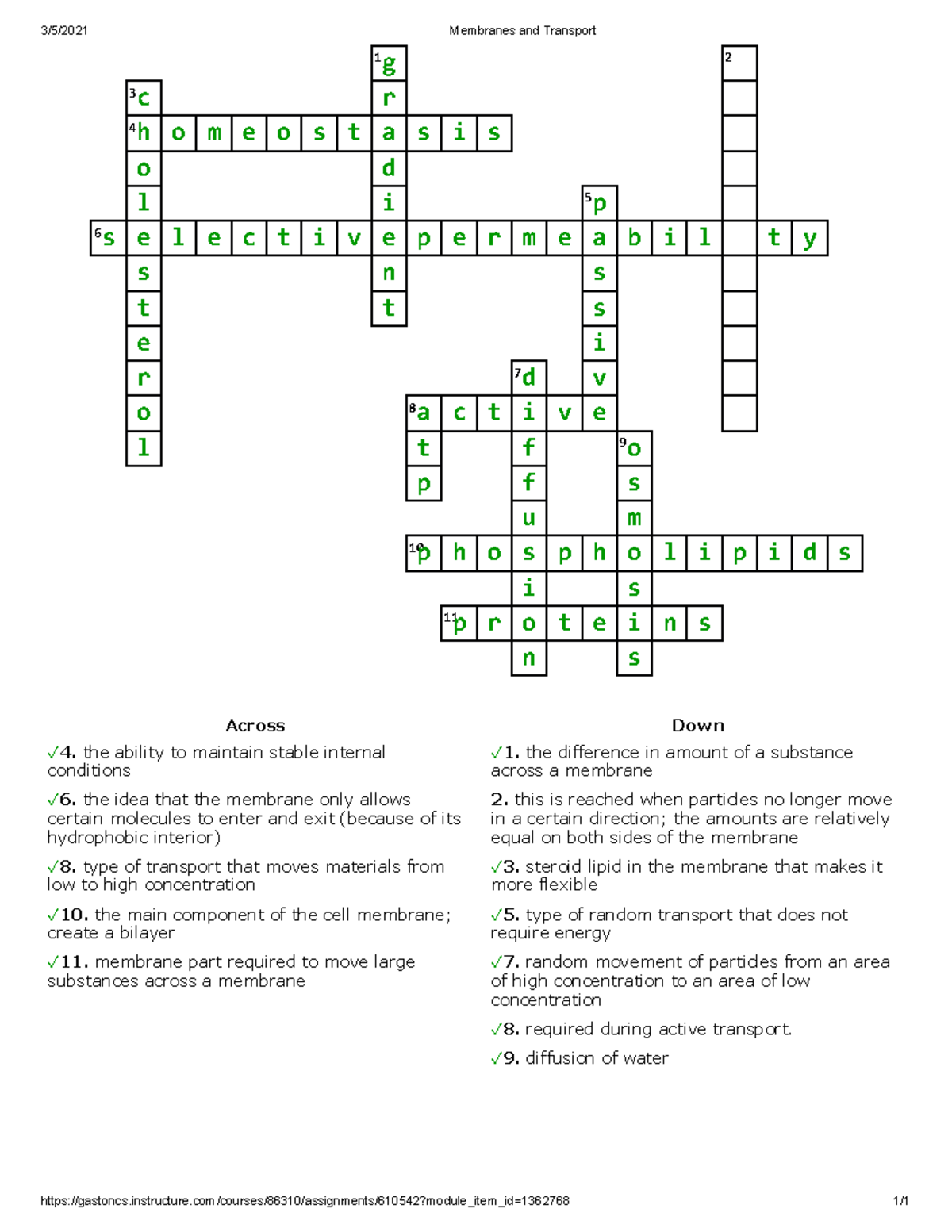 Membranes And Transport Crossword Puzzle 3 5 2021 Membranes And