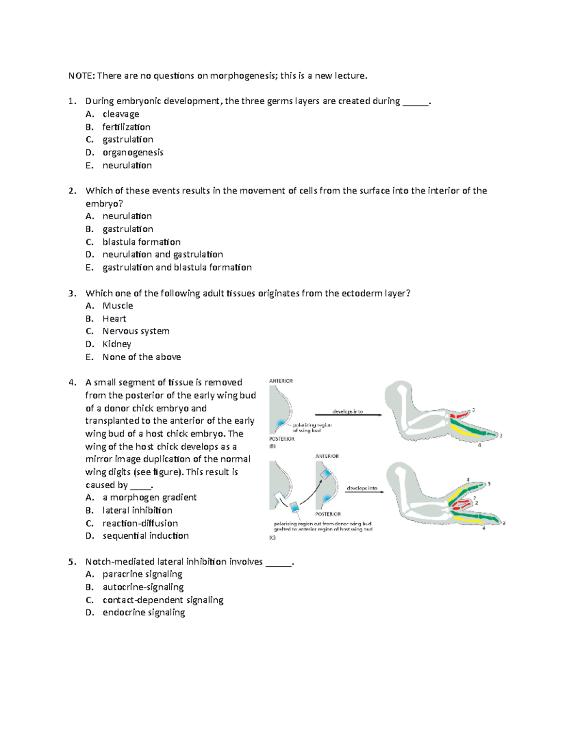 P3 practice exam KEY at end - NOTE: There are no quesions on ...