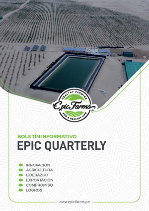 Ficha DE Atención Medica SCTR Rimac - investigacion de mercados - UNTRM ...