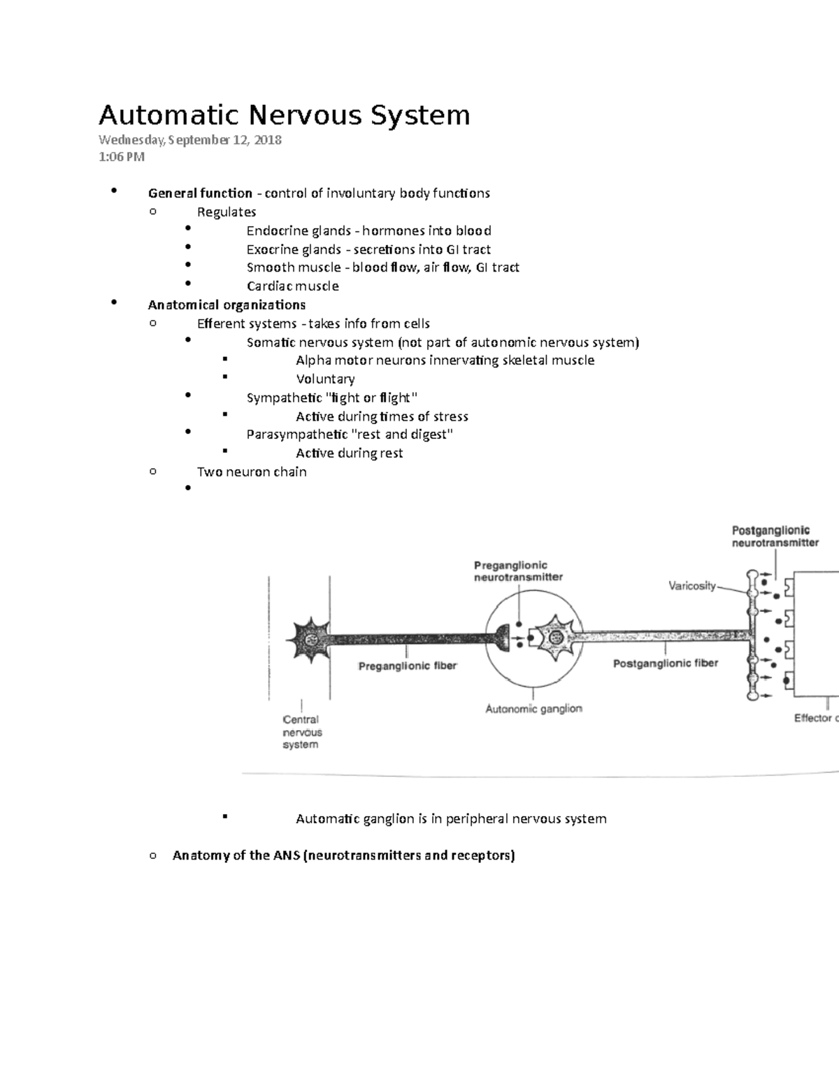 Automatic Nervous System - Automatic Nervous System Wednesday ...