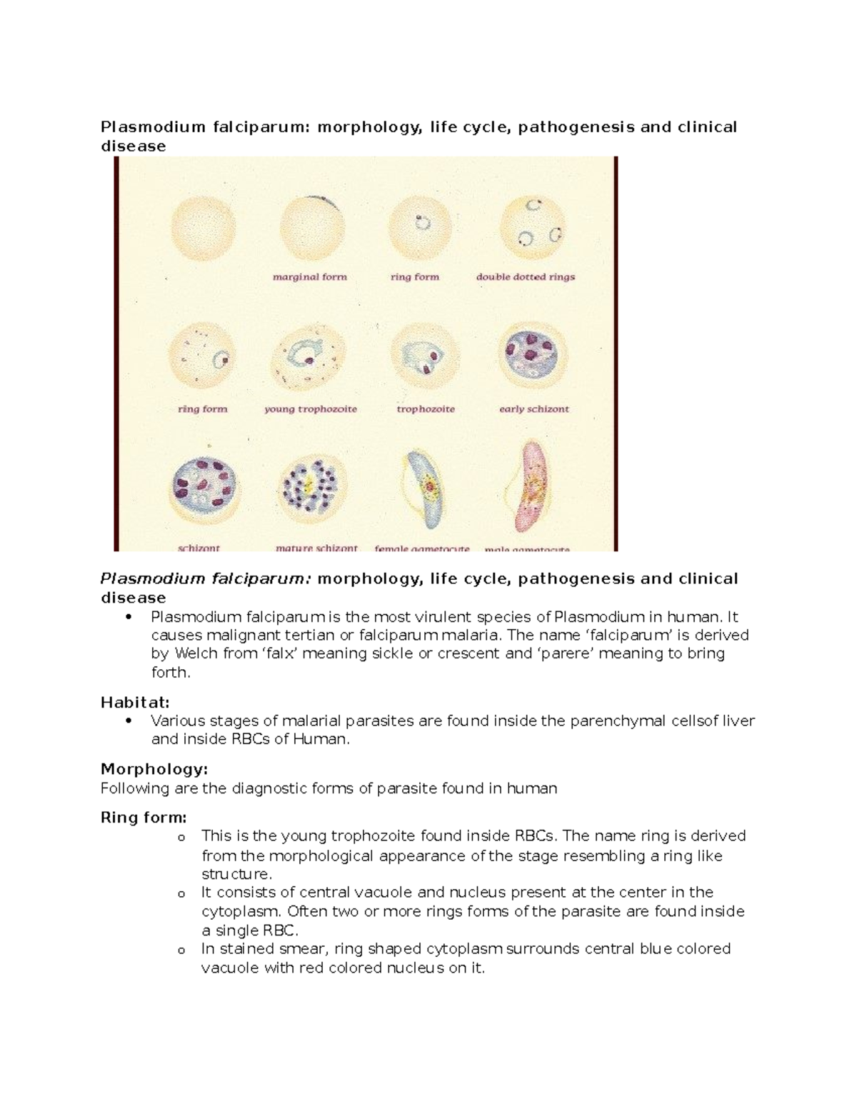 Plasmodium Falciparum Morphology Life Cycle Pathogenesis And Clinical 8068