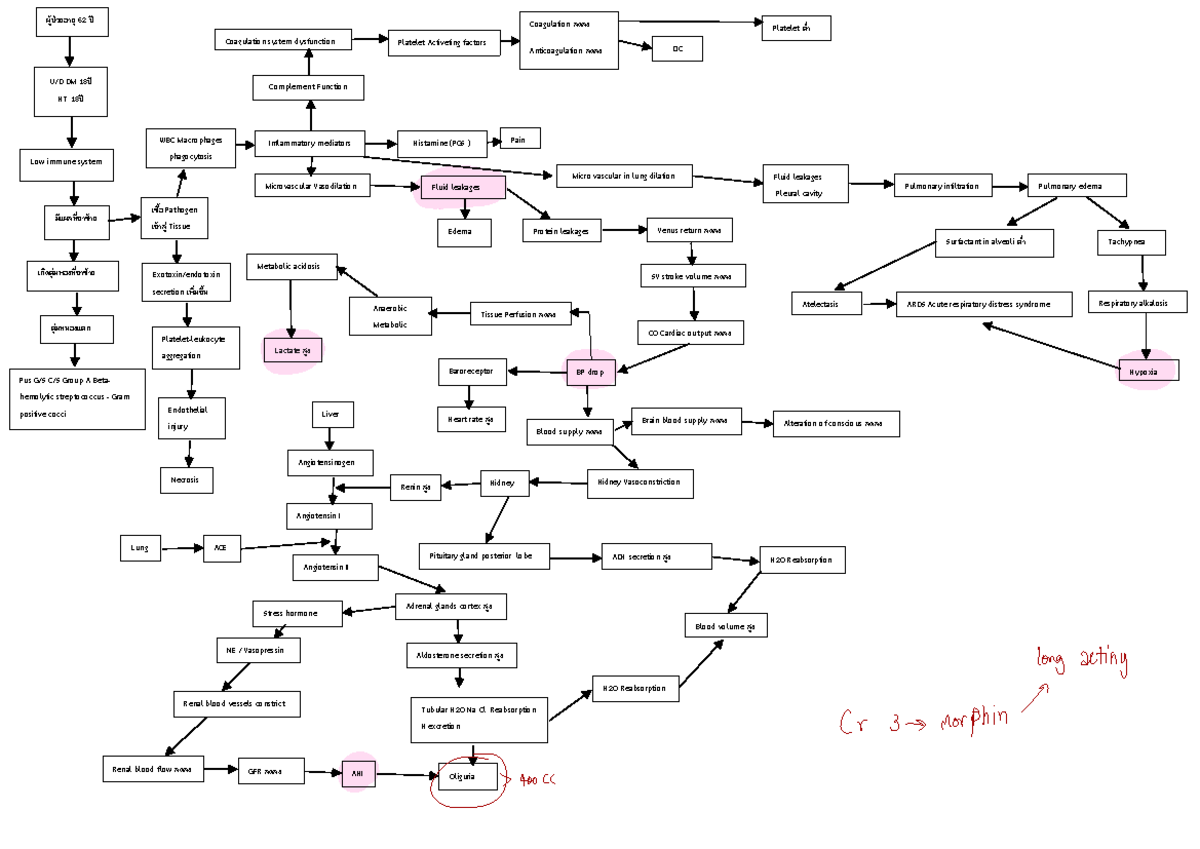Sepsis - Map - ผู้ป่วยอายุ 62 ปี Low immune system Lactate สูง มีแผลที่ ...