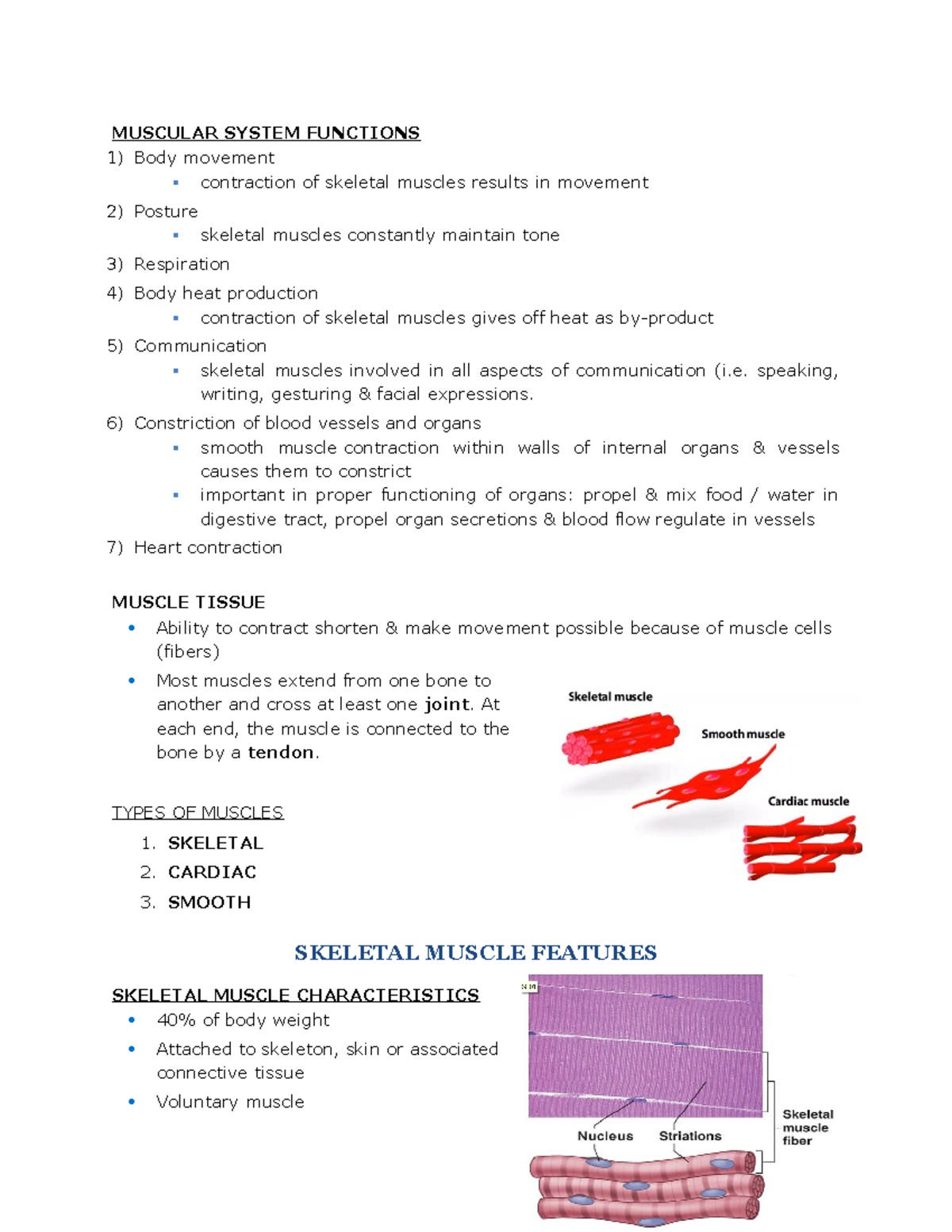 Muscular System Functions - MUSCULAR SYSTEM FUNCTIONS Body movement ...