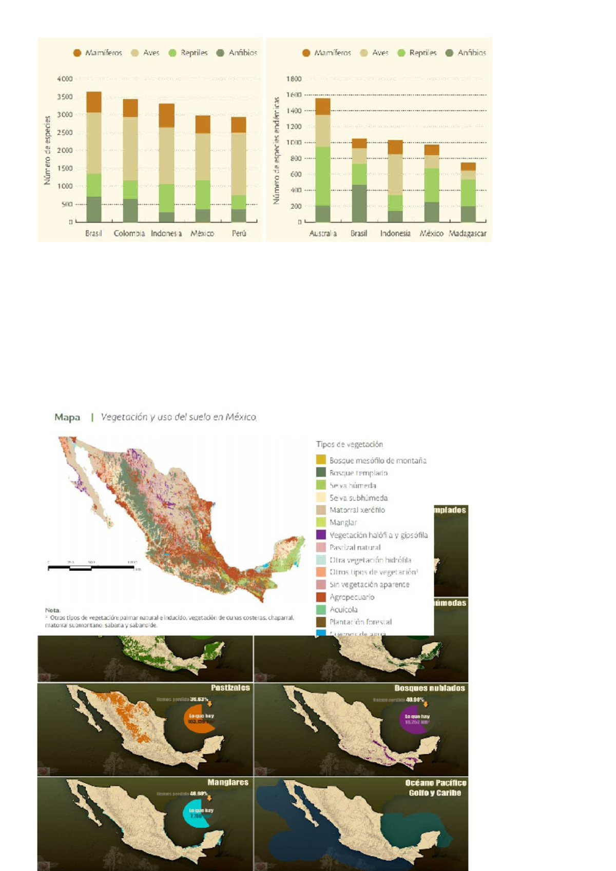 Doc3 - Img - taller de investigacion - ITTehuacán - Studocu