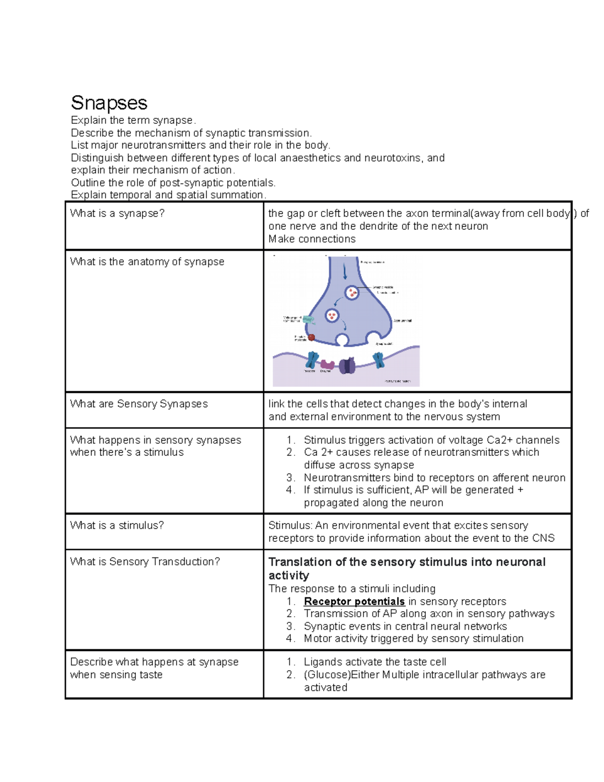 Physiology -FM1010 - Lecture note - Snapses Explain the term synapse ...
