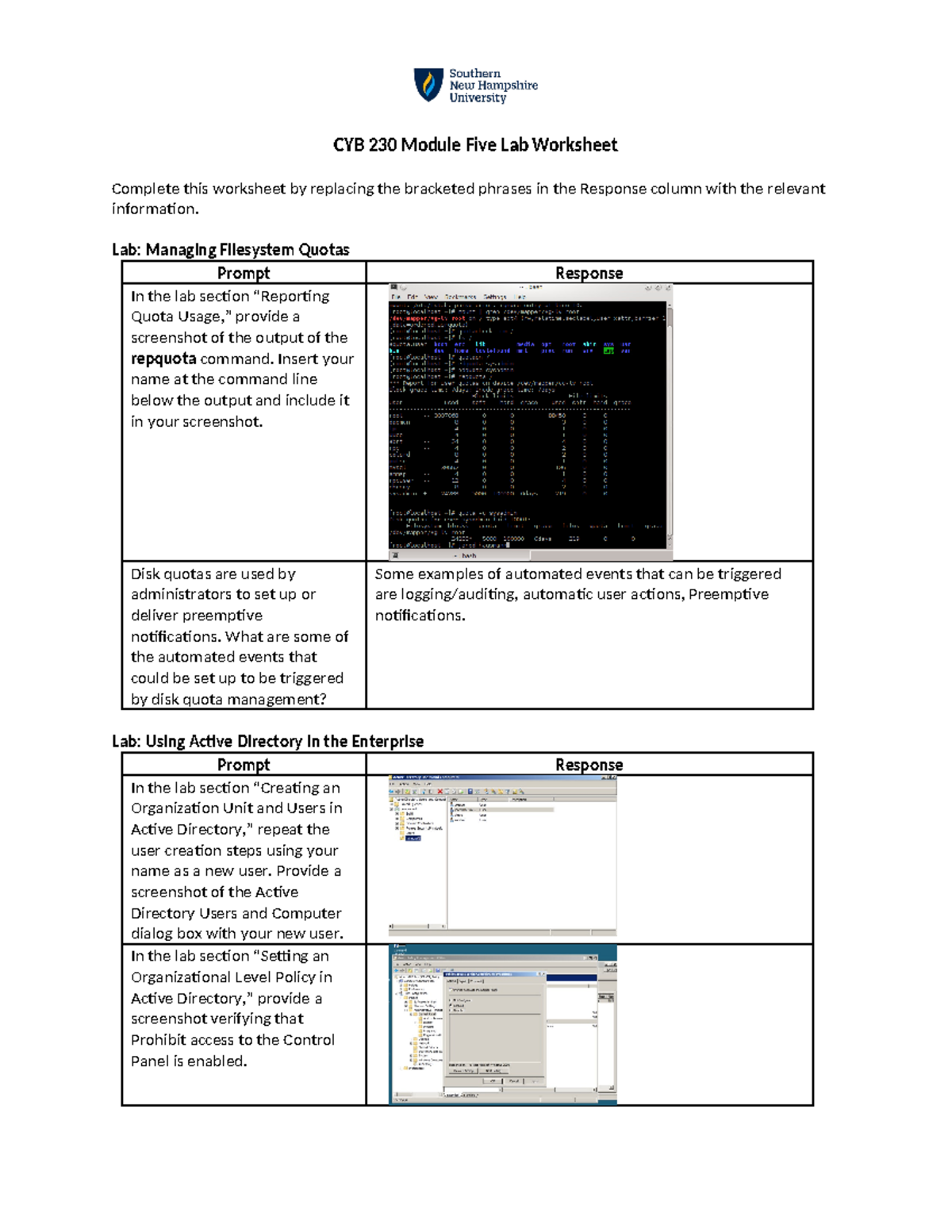 CYB 230 Module Five Lab Worksheet SPC Hausmann - CYB 230 Module Five ...