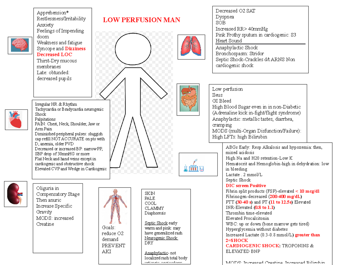 5. Low Perfusion Man copy - LOW PERFUSION MAN Goals: reduce O demand ...