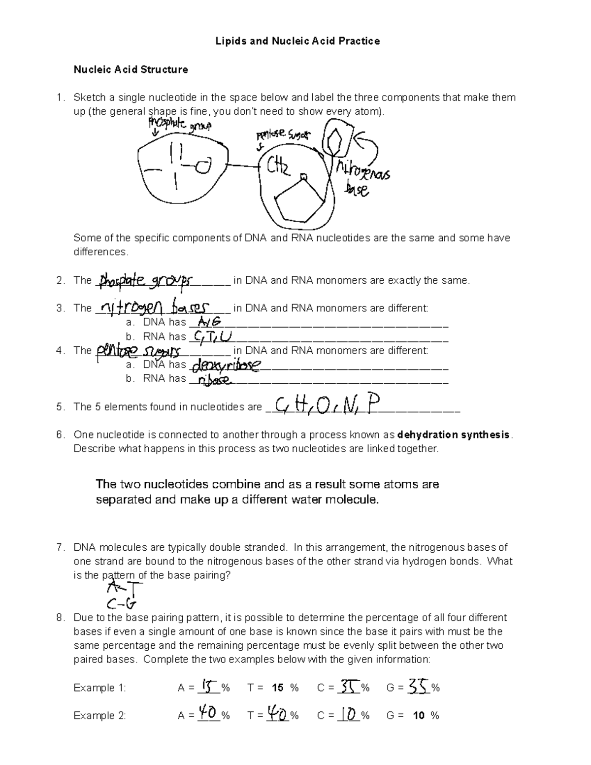 Lipids and Nucleic Acid Practice PDF - Lipids and Nucleic Acid Practice ...