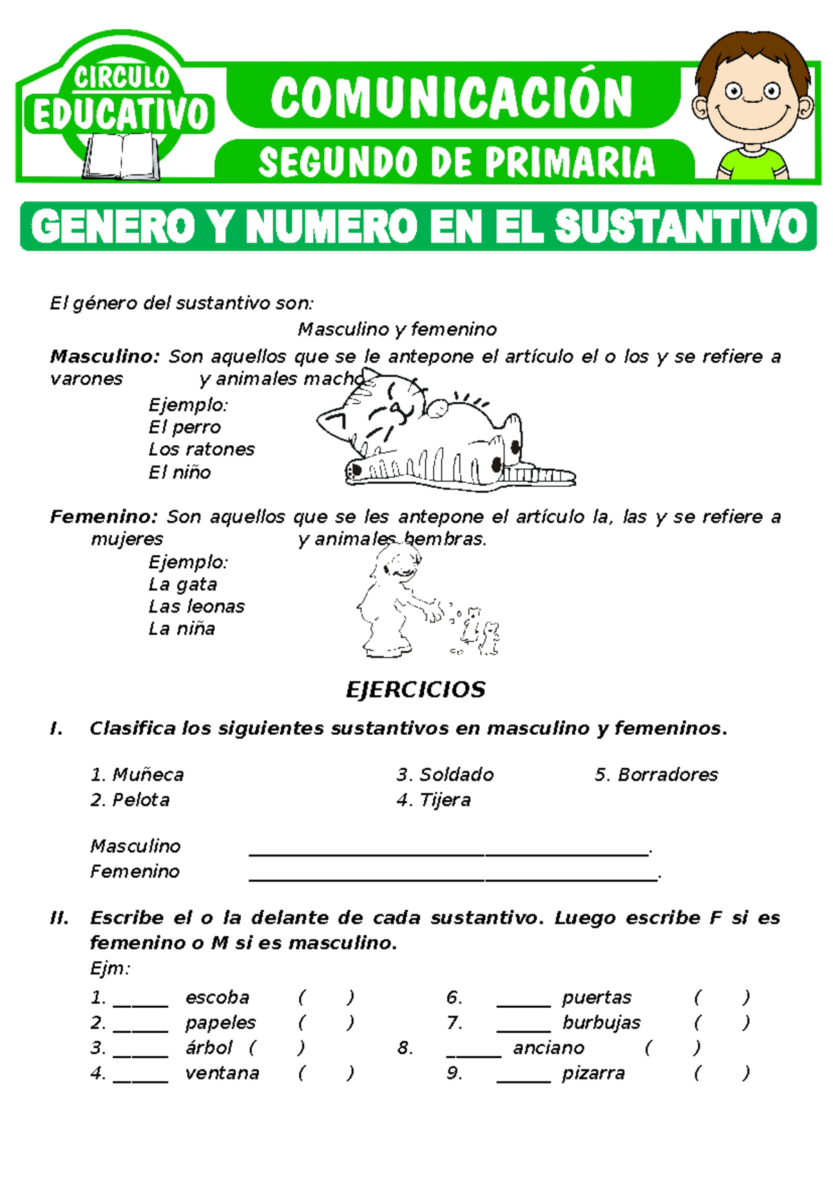 Genero y Numero en el Sustantivo para Segundo de Primaria - El género ...