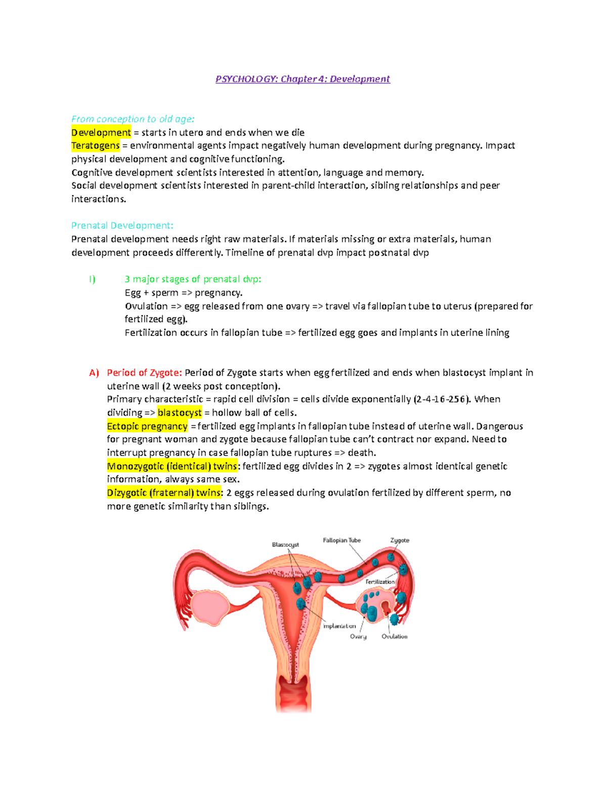 Chap 4 notes - PSYCHOLOGY: Chapter 4: Development From conception to ...