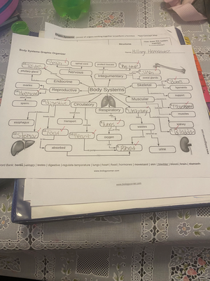 Using anatomical languagerev.2021 - Using Anatomical Language HASPI ...