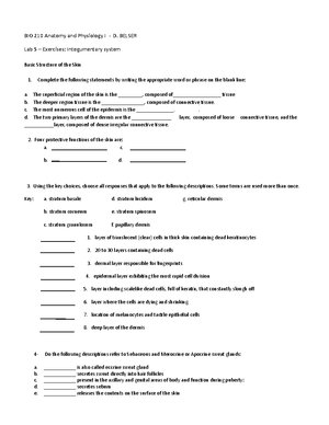 BIO 210 Lab 6 Exercise - answers - BIO 210 Anatomy and Physiology I - D ...