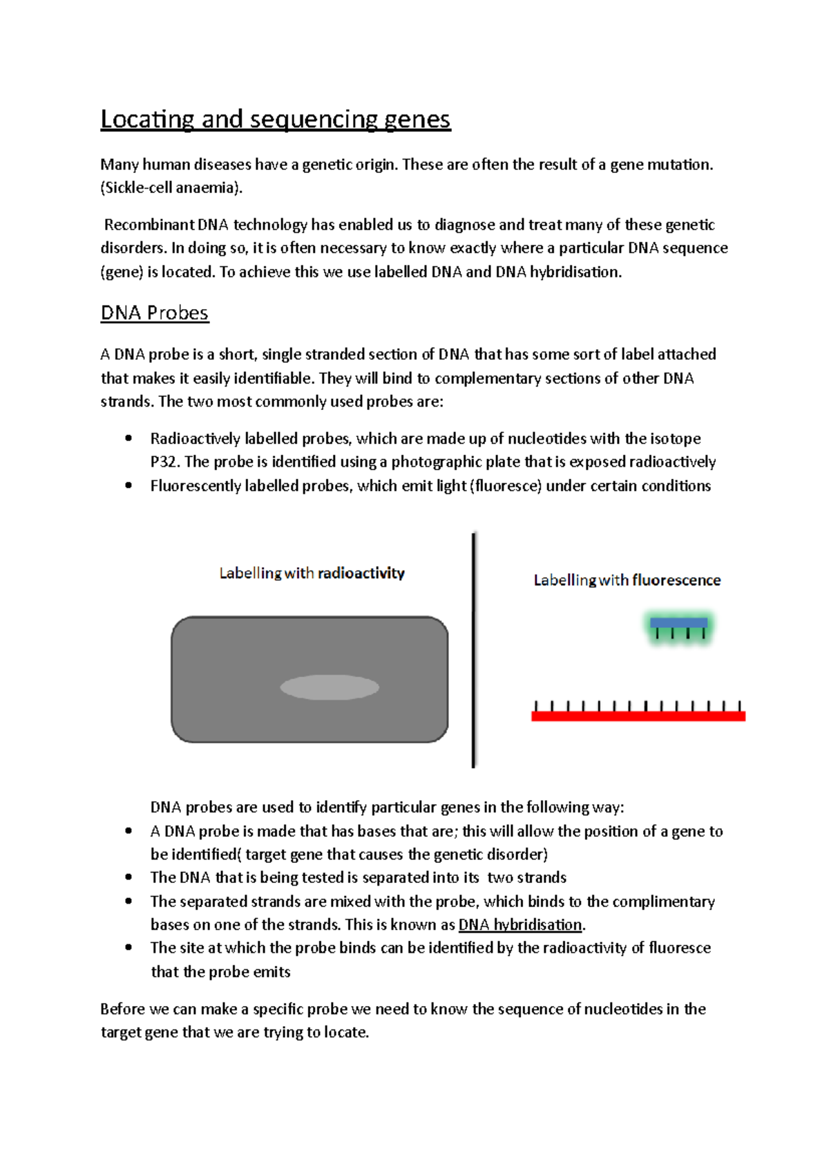 Locating and sequencing genes - These are often the result of a gene ...