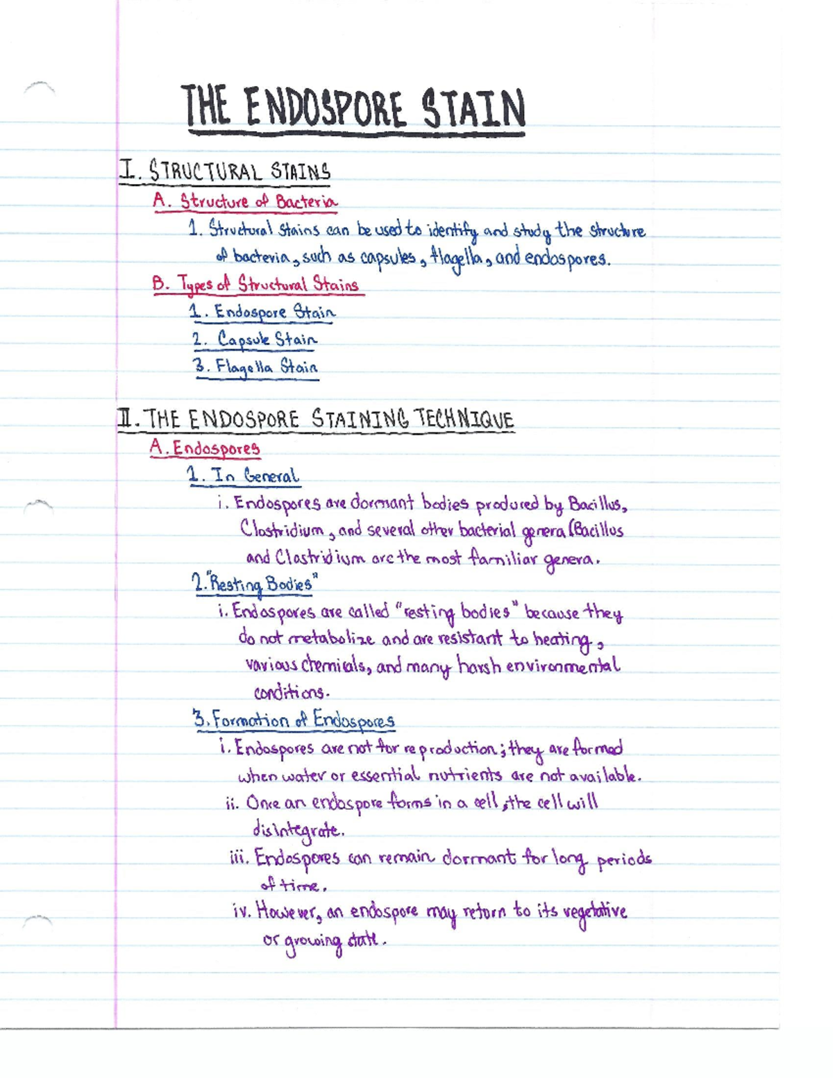 Endospore Stain (Notes) - BIOL3401 - Studocu
