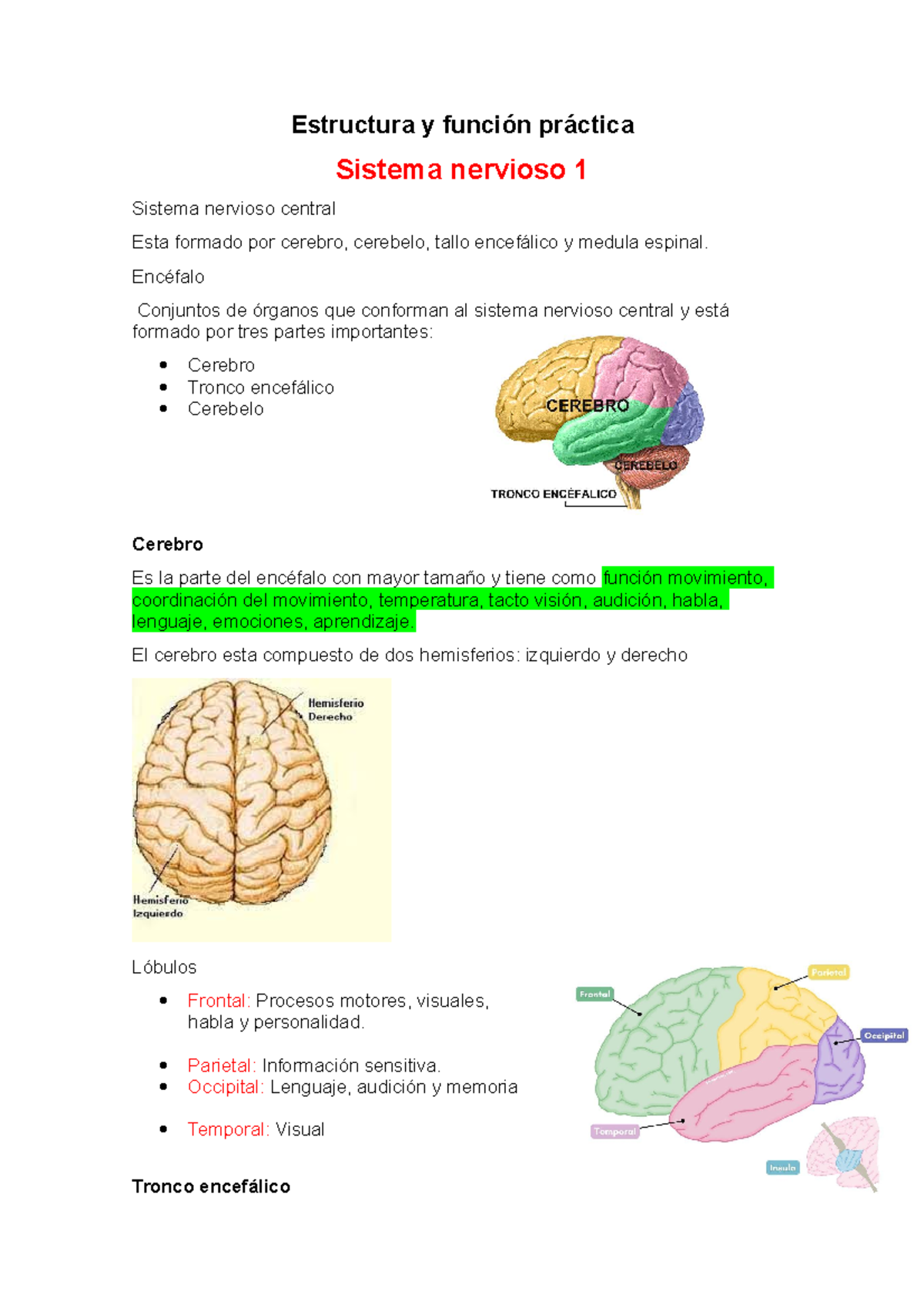 Estructura y función práctica resumen - Estructura y función práctica ...