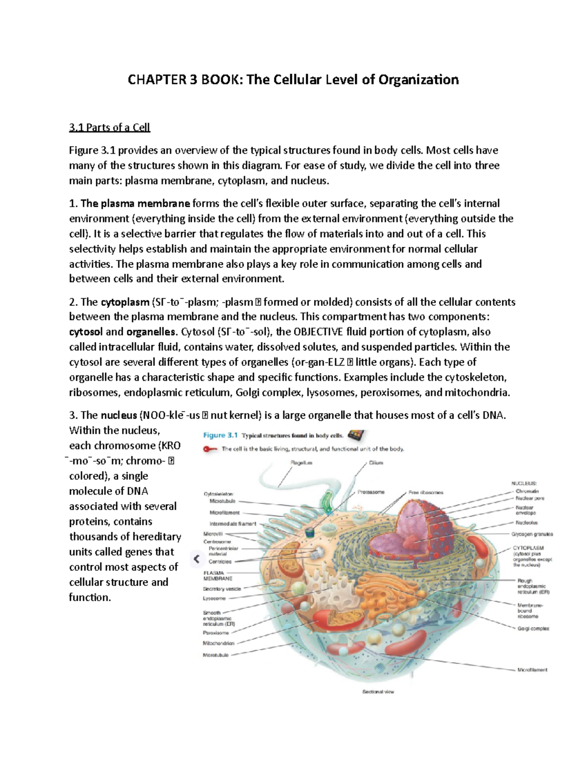 Cellular Level of Organization: Parts of a Cell and Plasma Membrane ...
