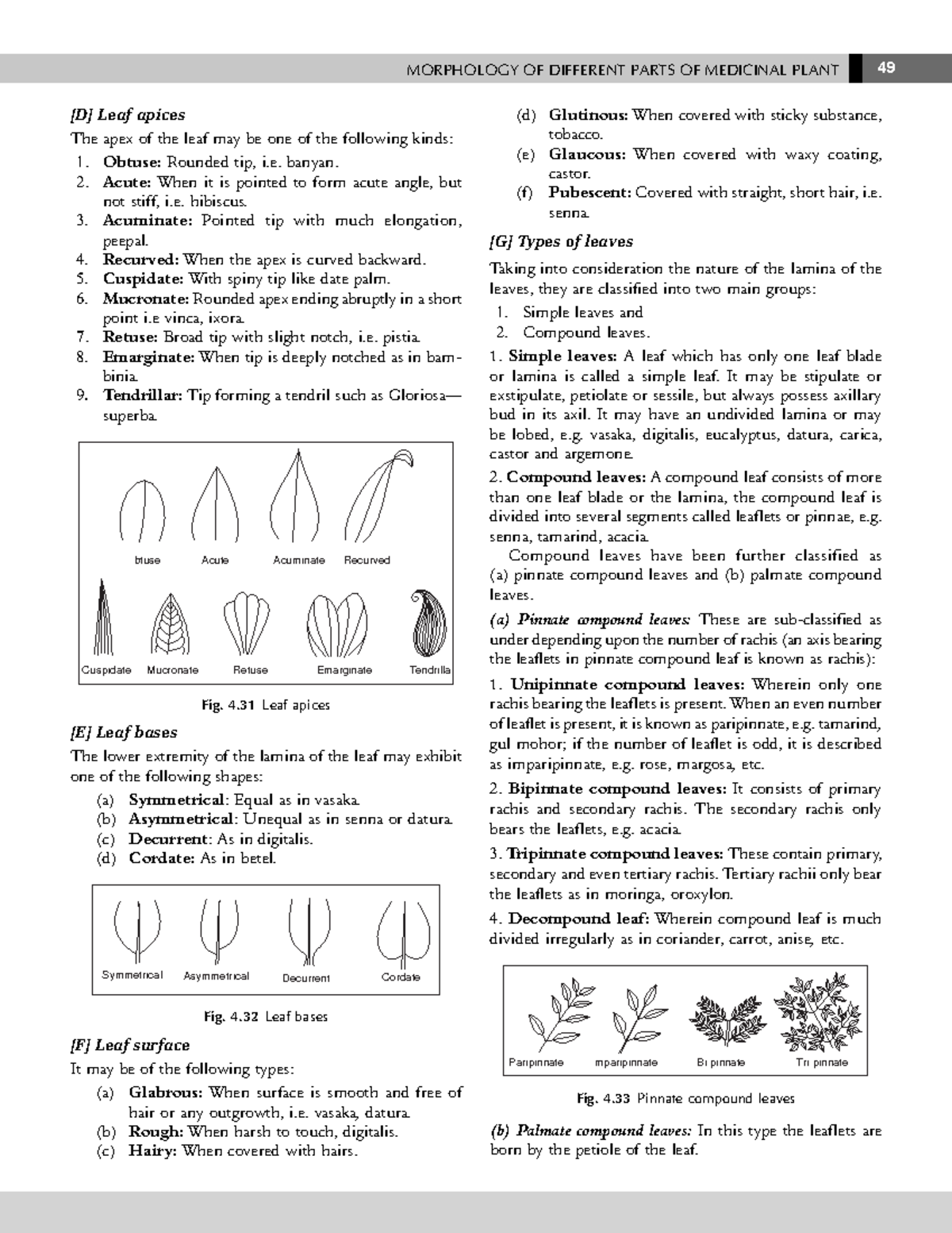 058-060 - pharmacognosy - MORPHOLOGY OF DIFFERENT PARTS OF MEDICINAL ...