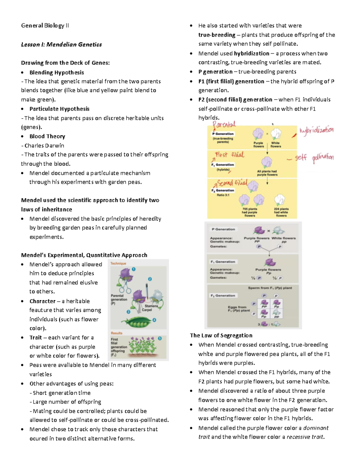 Mendelian Genetics - Lecture notes 6 - General Biology II Lesson I ...