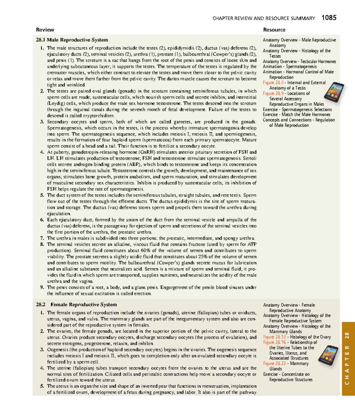 Anatomy-physiology-280 - C H A P T E R 28 CHAPTER REVIEW AND RESOURCE ...