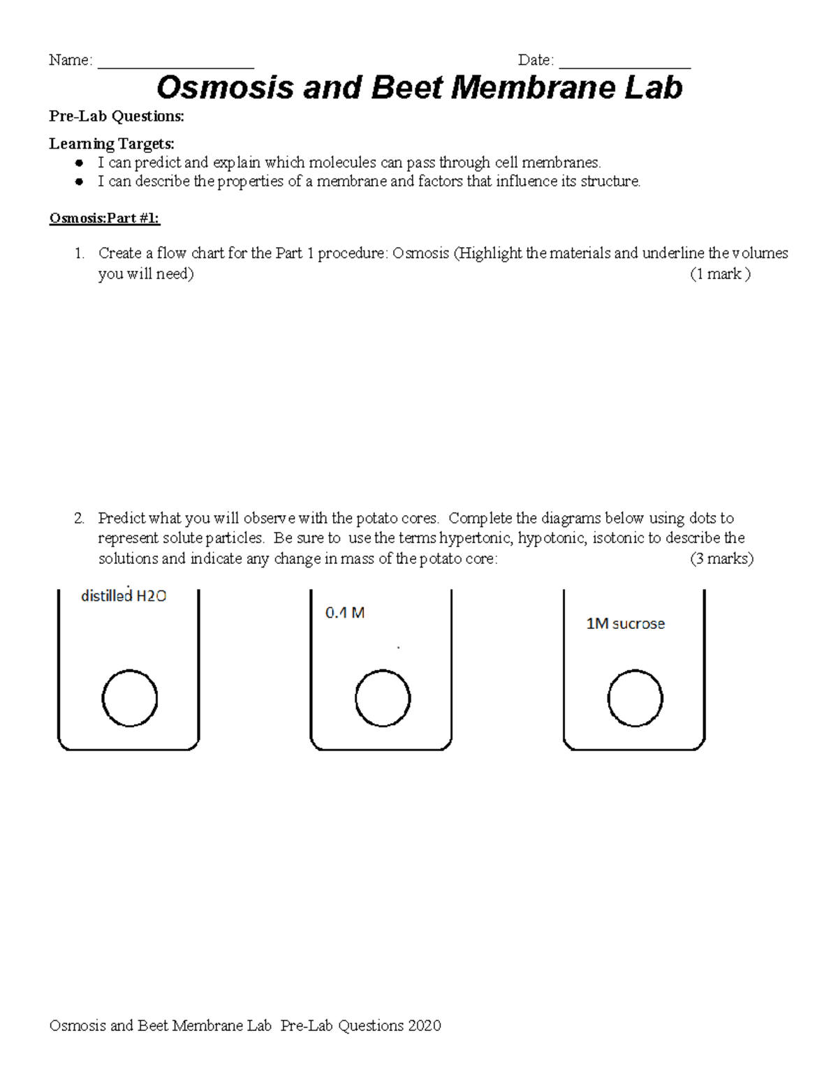 Osmosis and Beet Membrane Lab Pre-Lab Questions 2021 - Name: ___________________ Date: - Studocu