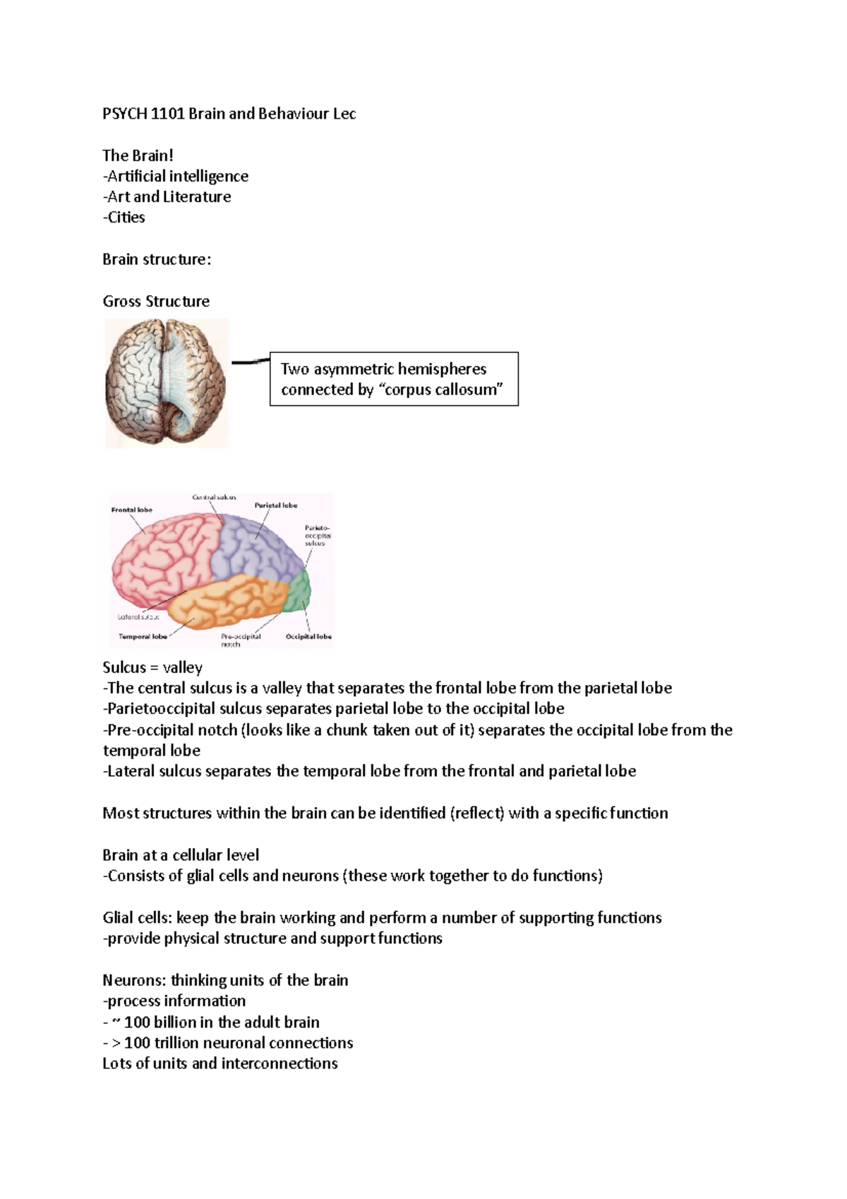 Psych 1101 Brain and Behaviour Lec - PSYCH 1101 Brain and Behaviour Lec ...