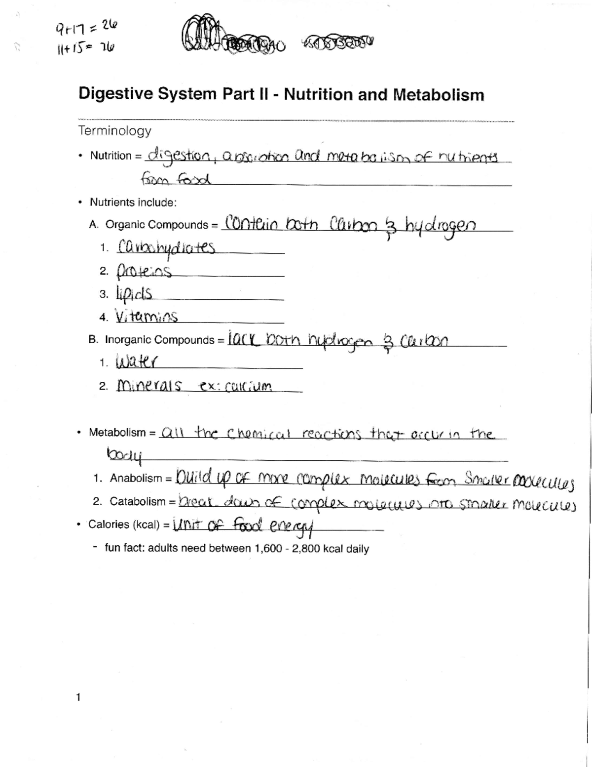 Digestive system part 2 - Nutrition and Metabolism - t Qrr-l z Lb il+ ...