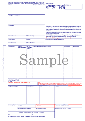 CV lydia selby 2022 Academic - Logistic và vận tải quốc tế - Studocu