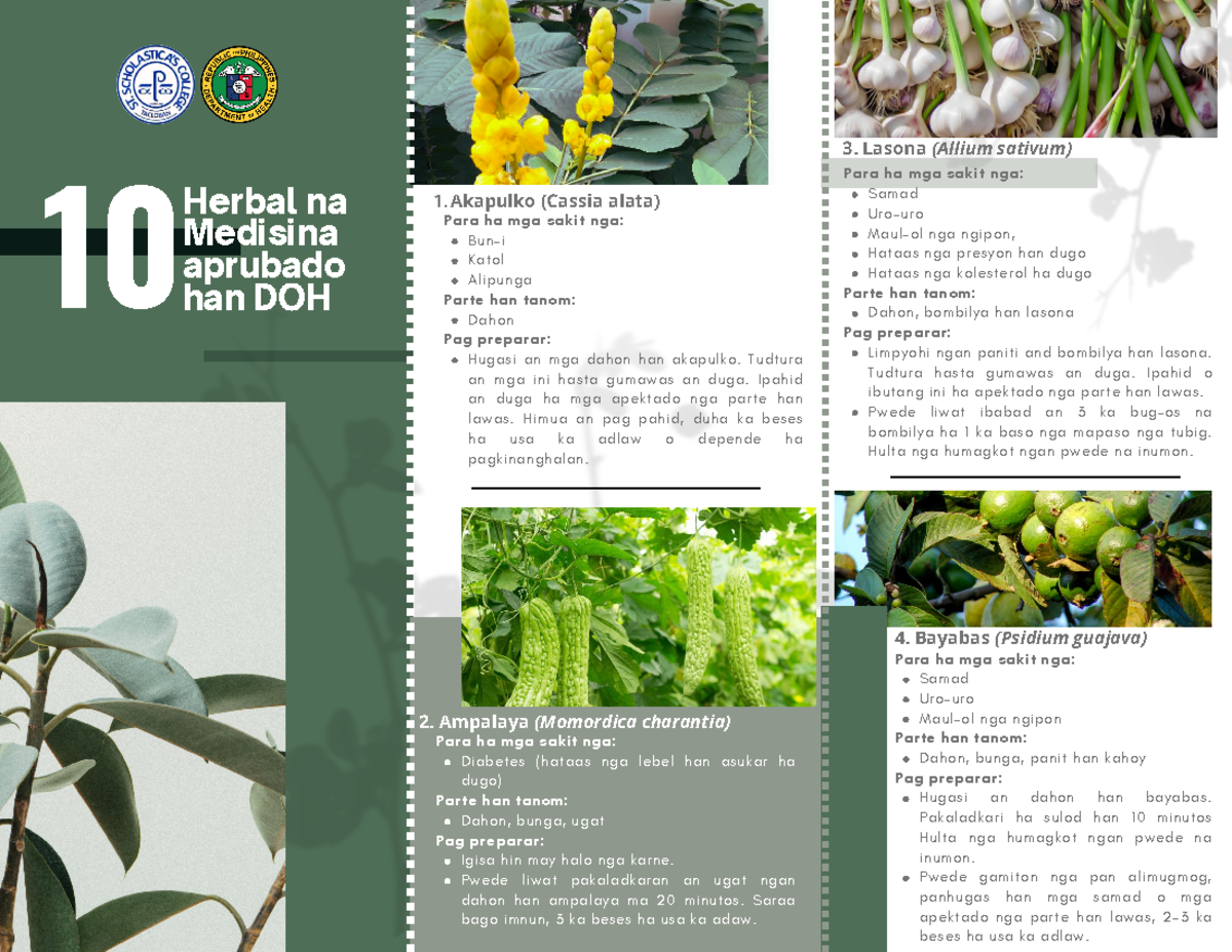 10 Herbal na Medisina - Summary Public Health - Bun-i Katol Alipunga ...
