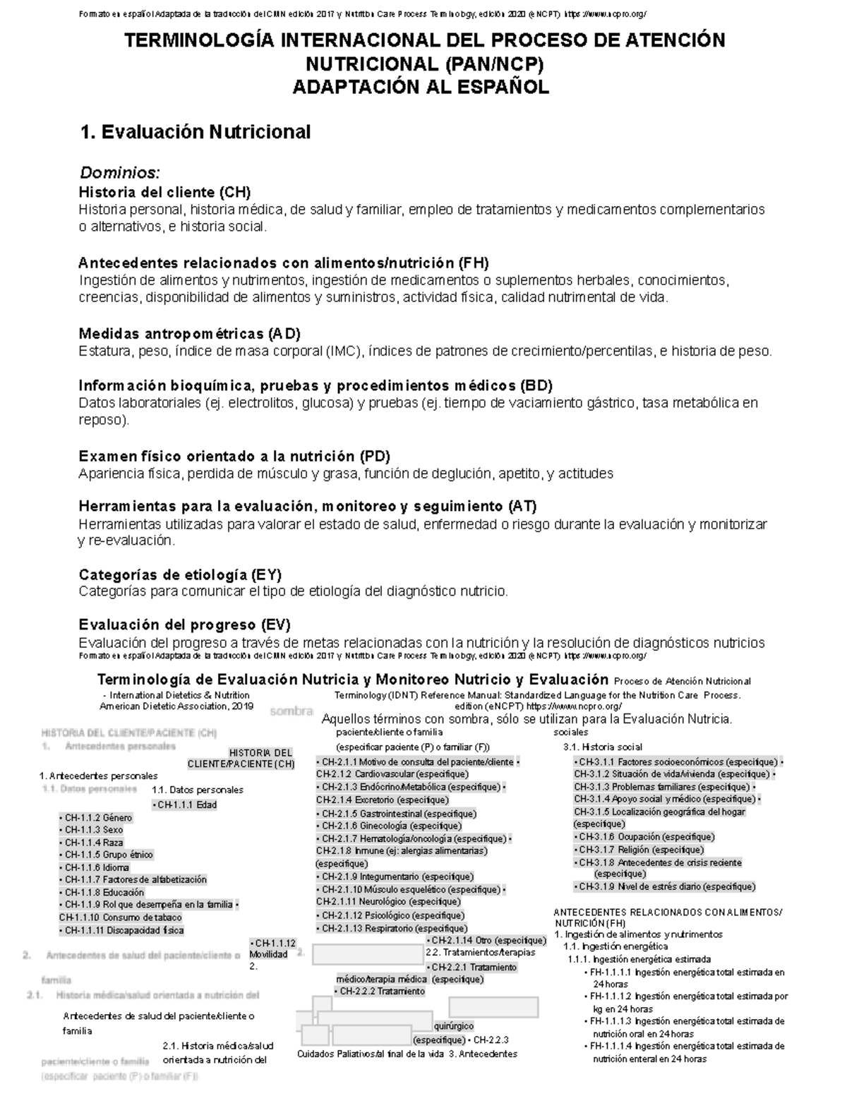 Terminología NCP 2020 - JJKB - Formato en español Adaptada de la ...