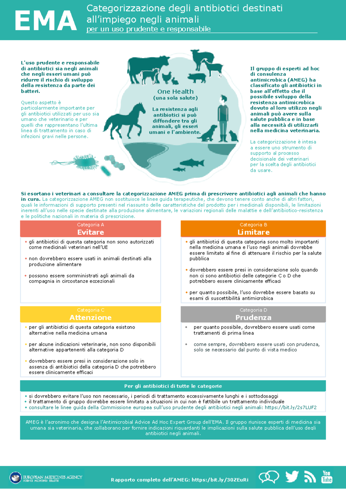 Infographic-categorisation-antibiotics-use-animals-prudent-responsible ...