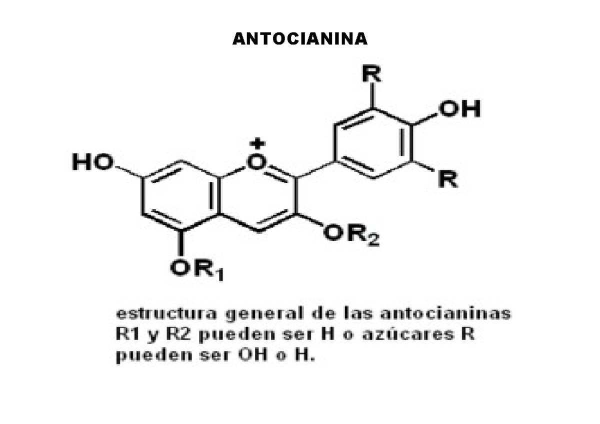 Antocianina - ANTOCIANINA Su estructura básica consiste en una ...