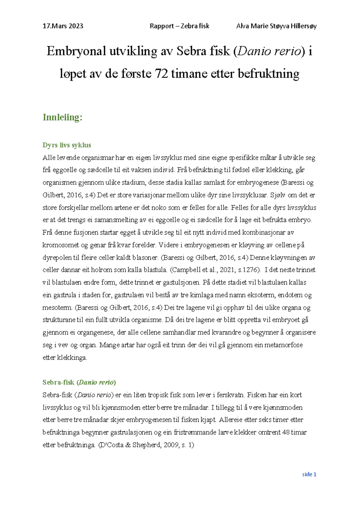 BIO 103 Raport Zebrafisk - Embryonal utvikling av Sebra fisk (Danio ...