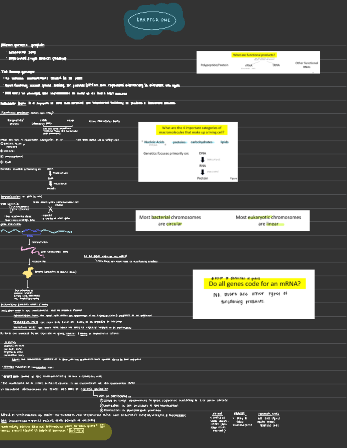 Genetics Overview - CHAPTER ONE Human genome project : completed 2003 ...