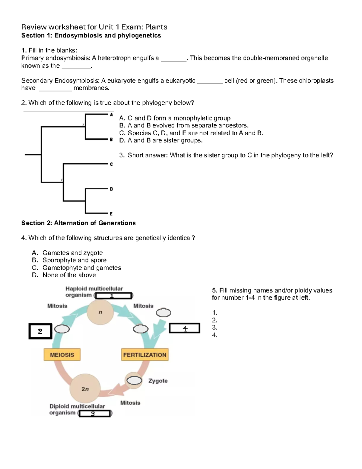 Plants unit review questions - Section 1: Endosymbiosis and ...