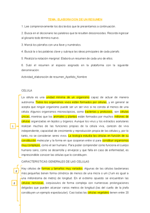 Proyeccion geometrica de la imagen radiografica - UNIDAD 2 RAYO CENTRAL ...