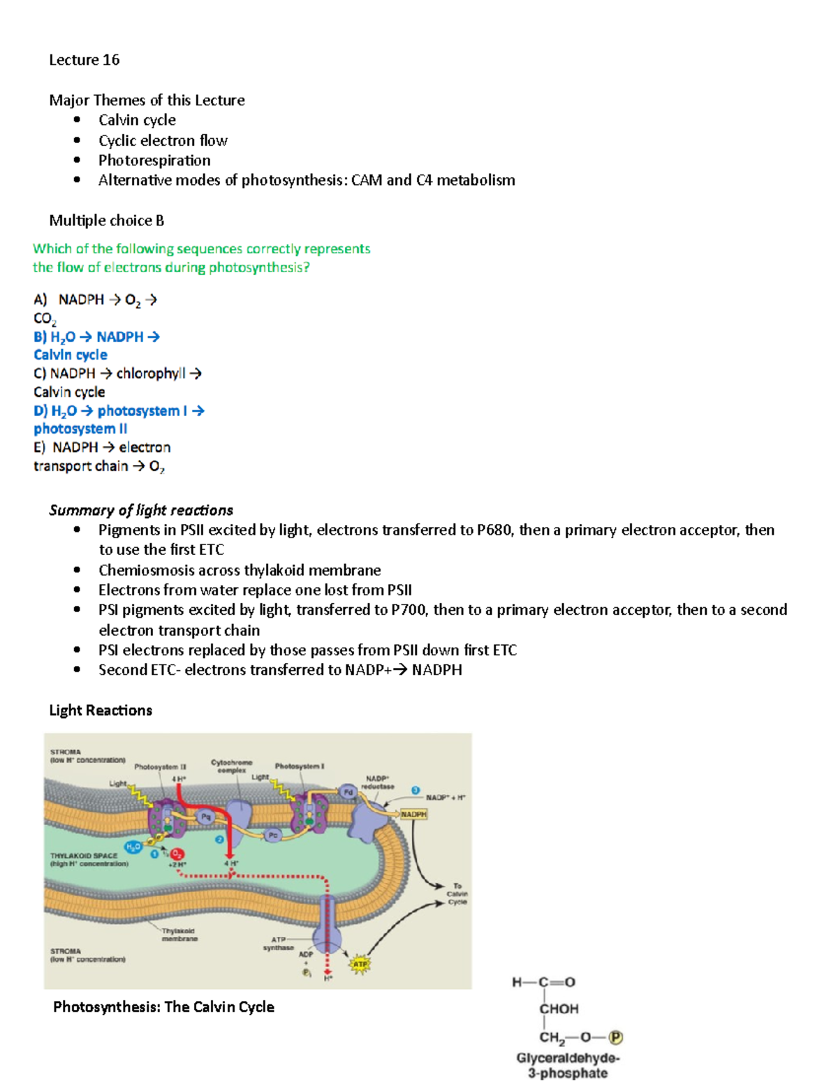 Lecture 16 - Lecture 16 Major Themes of this Lecture Calvin cycle ...